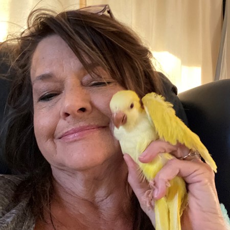 Quaker Parrot #213718 for sale in East of Dallas (off of I 20) Lindale ...